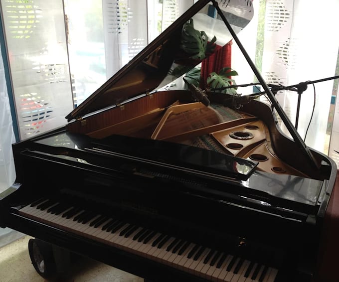 Record your song with real instruments by G_kallenbach | Fiverr