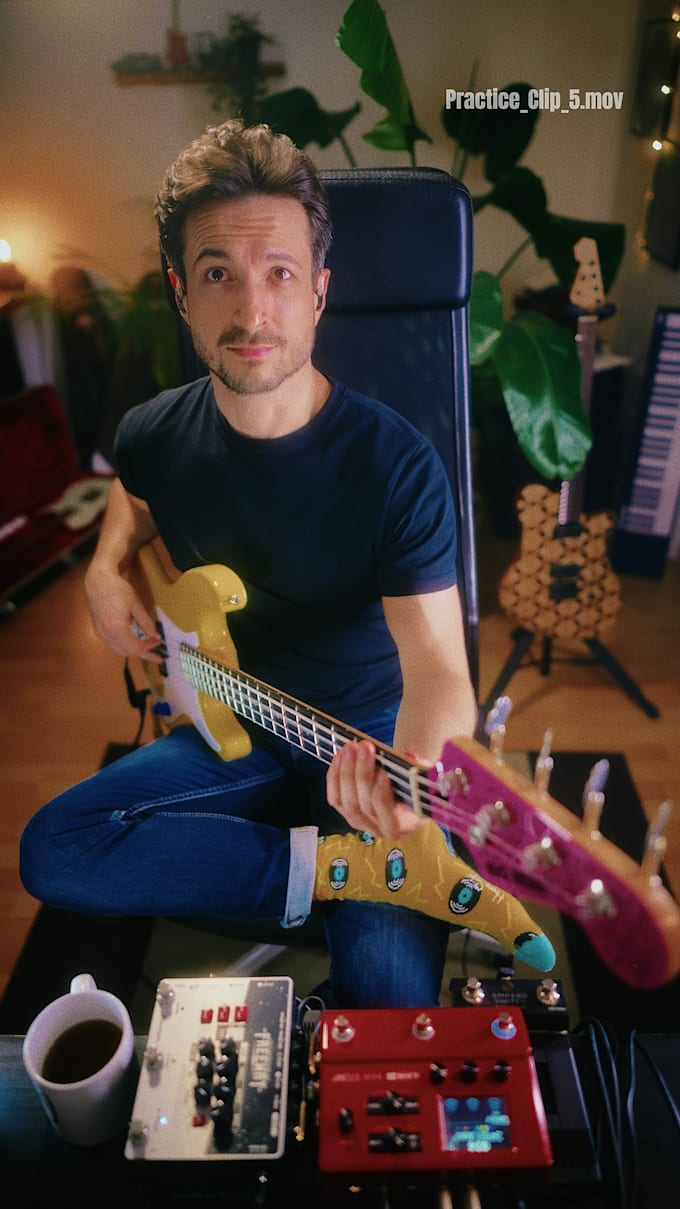 Be your pro studio bassist, bass player, session musician by Danmusik ...