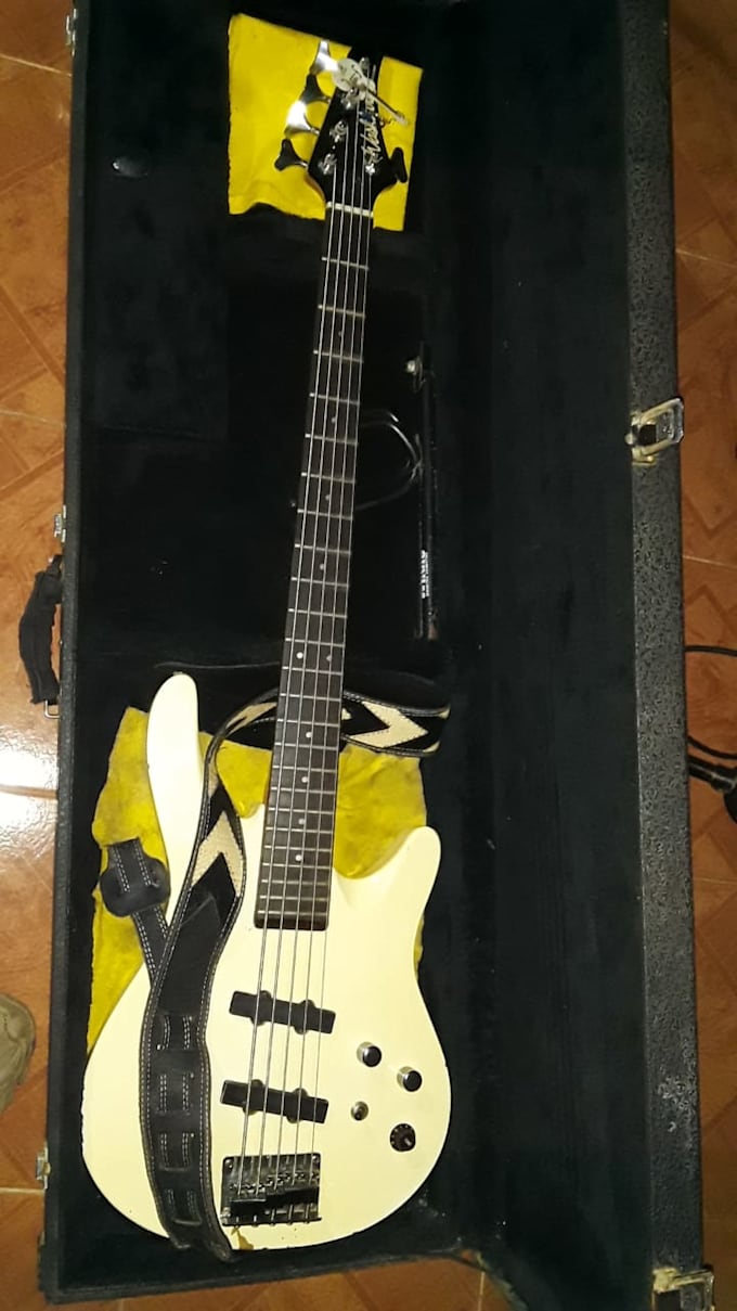 Create and record bass lines for your songs by Exebassman | Fiverr