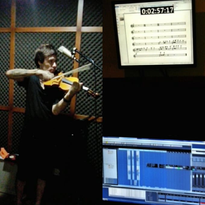 Record violin, viola, strings section within 24hr by Compagnon_ii | Fiverr