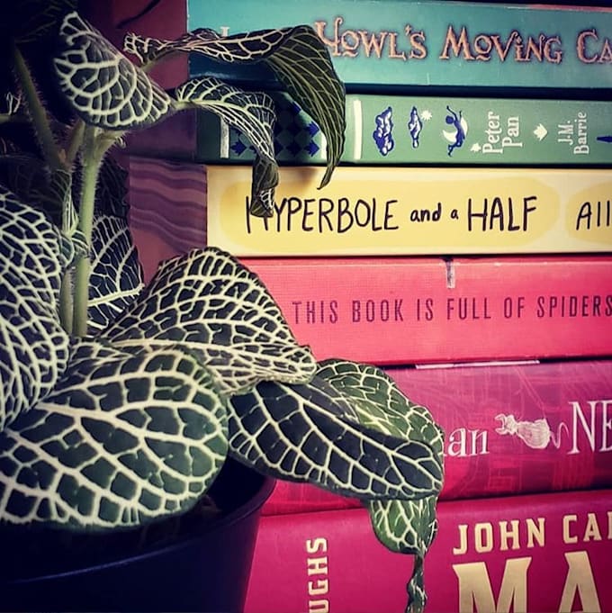 christybetaread | Profile | Fiverr