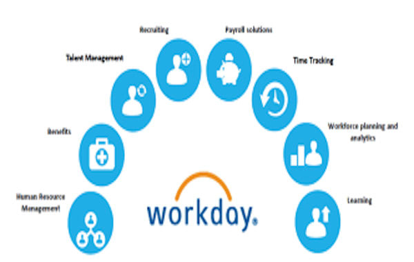 12 Best freelance workday experts for hire in December 2024