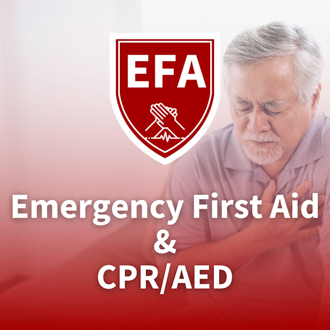 12 Best freelance first aid experts for hire in November 2024