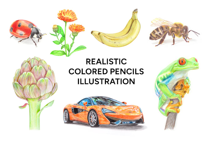 12 Best freelance drawing artists for hire in May 2025