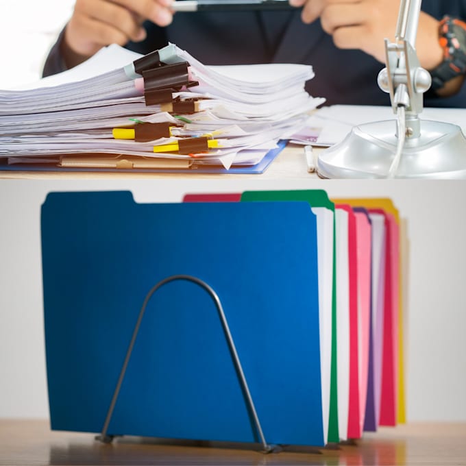 12 Best freelance file organization experts for hire in July 2024
