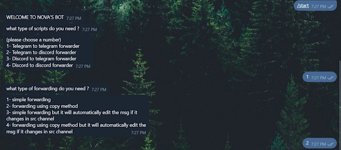 12 Best freelance telegram experts for hire in November 2024