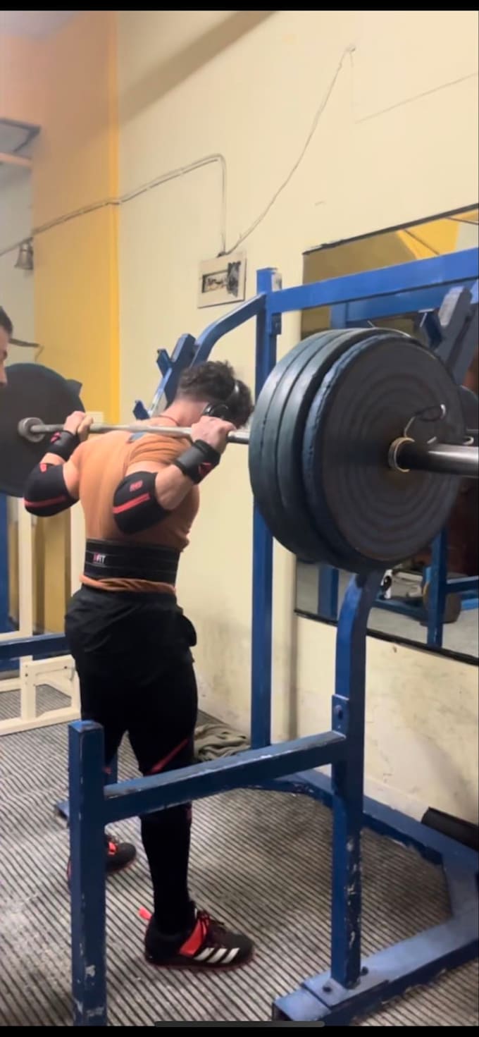 12 Best freelance bodybuilding coaches for hire in October 2024