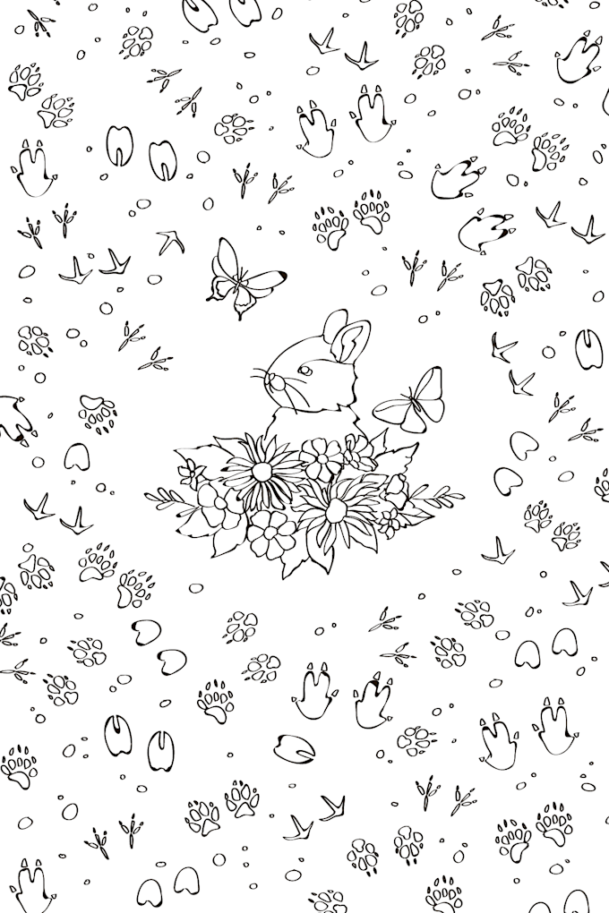 12 Best freelance coloring book illustrators for hire in July 2024