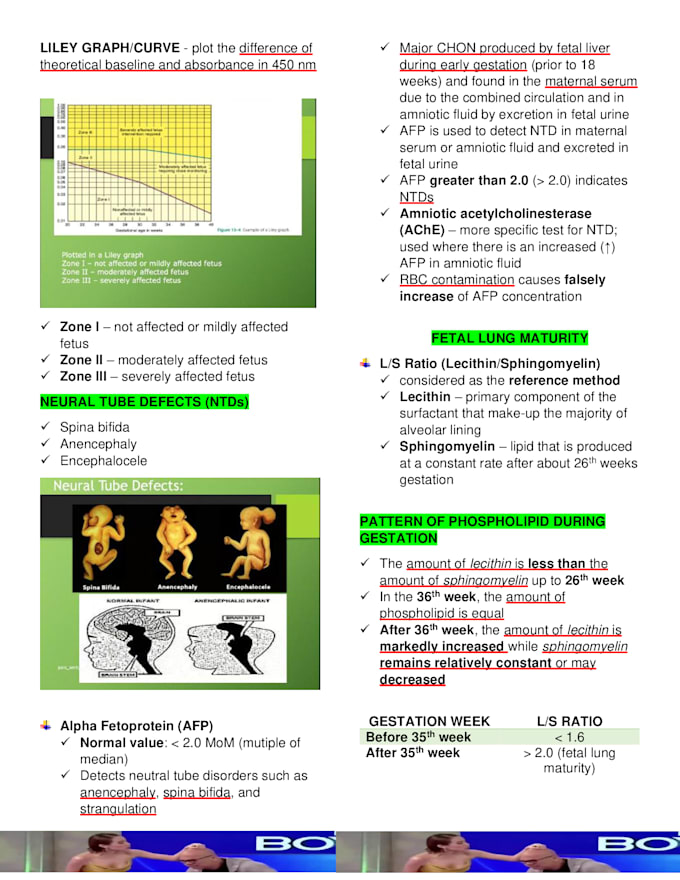 12 Best freelance jpg to word converters for hire in October 2025