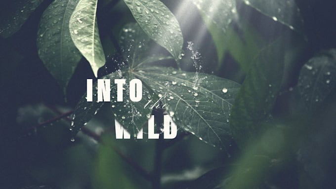 12 Best freelance thumbnails designers for hire in July 2024