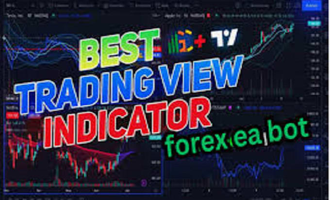 12 Best freelance forex trading experts for hire in August 2024