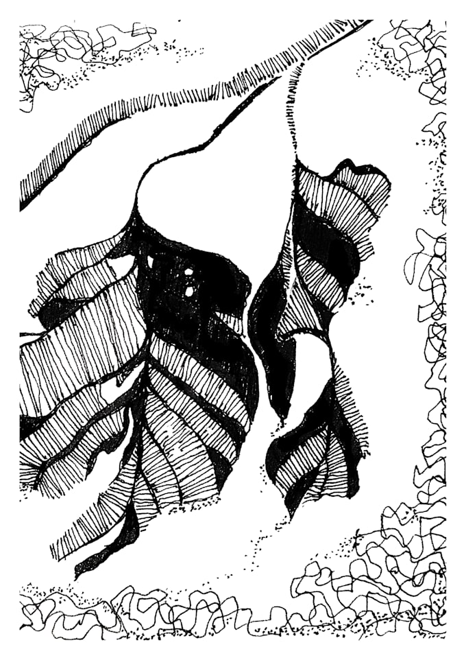 12 Best freelance pen ink illustrators for hire in November 2024