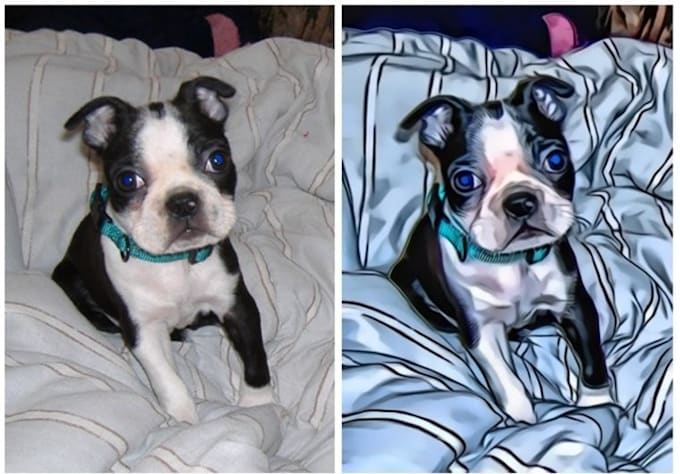 Turn your photo into a lifelike cartoon animation by Cartoonimation