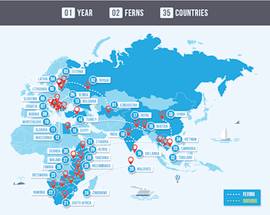 Design dashboard saas mvp ui ux of web or mobile app by Sufyandesigner ...