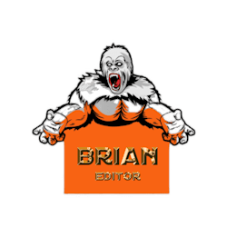 Create 20 amazing animated logo intro video by Brian_edit | Fiverr