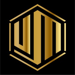 Create a custom 4k logo animation, intro, and outro in 24hrs by ...