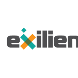 Design professional, branding signature logo by Exilien | Fiverr
