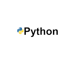 Teach you python basics by Pythonlessons | Fiverr