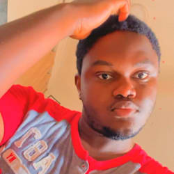 Build a mobile application from scratch using flutter by Carzard | Fiverr