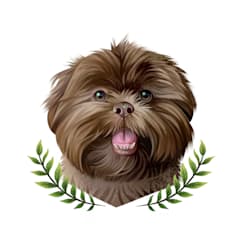 Draw you a pet portrait by Keekers | Fiverr