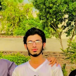 Do image classification, clustering, data science, machine learning, ml python by Hassnataslam ...