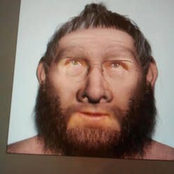 Sell you i meme therefore i am my collection of 50 hilarious ...