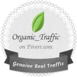 Drive 5000 keyword targeted google organic traffic by Organic_traffic | Fiverr