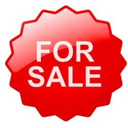 Make eye catching powerpoint presentation by Annabala | Fiverr