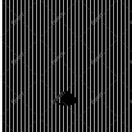 Create a scanimation, barrier grid animation by Opreston | Fiverr