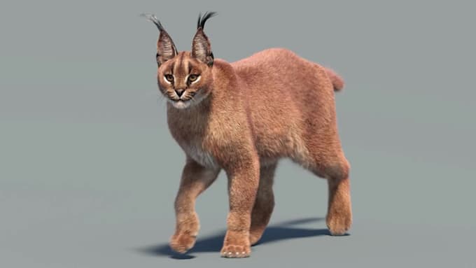 Do realistic 3d animal model, 3d animal animation, 3d animal rigging ...