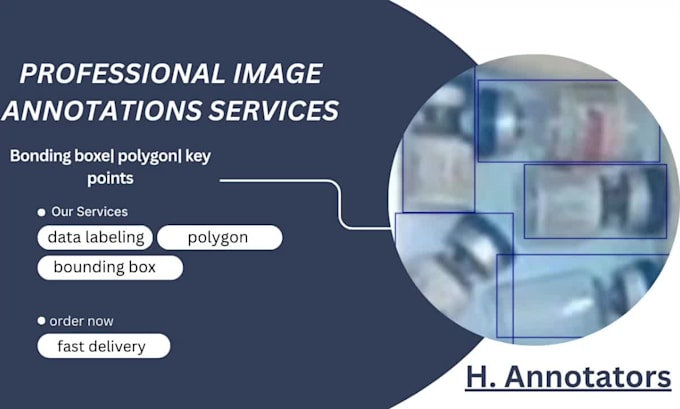 Provide Image Annotation Data Labelling Bounding Box Segmentation By