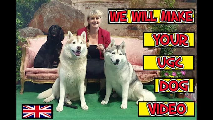 Create a dog ugc sales spokesperson video advert by Rachelwebb1178 | Fiverr