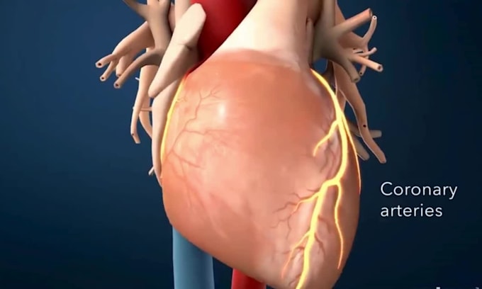 3d medical animation illustration anatomy surgery animation for medical ...