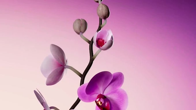 Render photorealistic 3d flower animation, cgi plant design, 3d flower ...