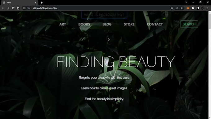 Make custom html, css eye catching landing webpages by Syedmutaal | Fiverr