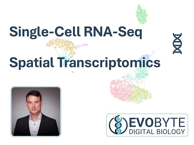 Analyze Single Cell Rna Seq And Spatial Transcriptomics Data By