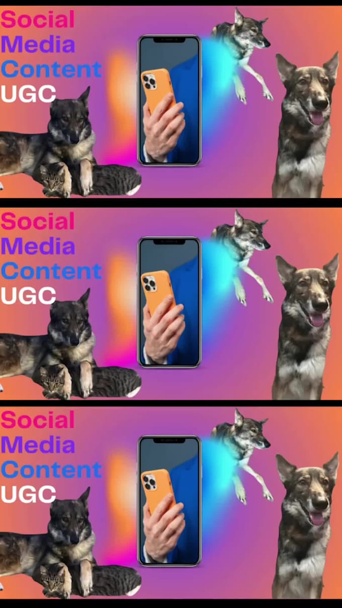 Create dog ugc video ads for tiktok or instagram by Isaiahsander902 ...