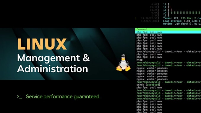 Install And Fix Linux Server Wordpress Mysql Nginx Apache Plesk Cpanel By Jahanzebk Fiverr