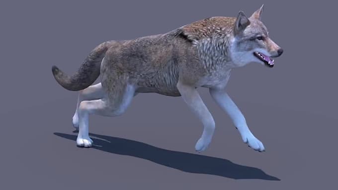 Do realistic 3d animal model, 3d animal rigging, 3d animal animation by ...