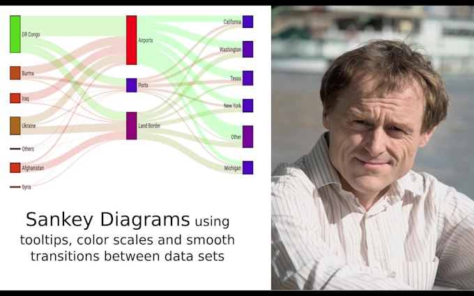 Create a custom sankey diagram using d3 by Dynamicd3 | Fiverr