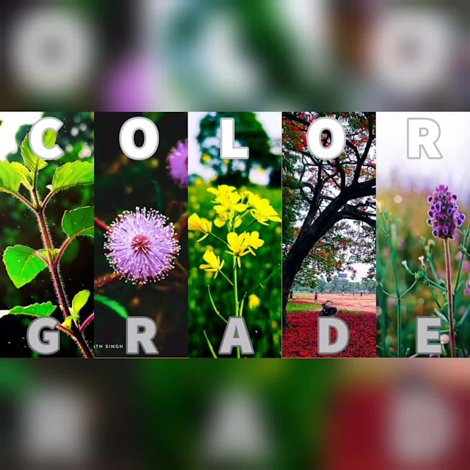 Edit photo face retouch color grading by Bhagirath696 | Fiverr