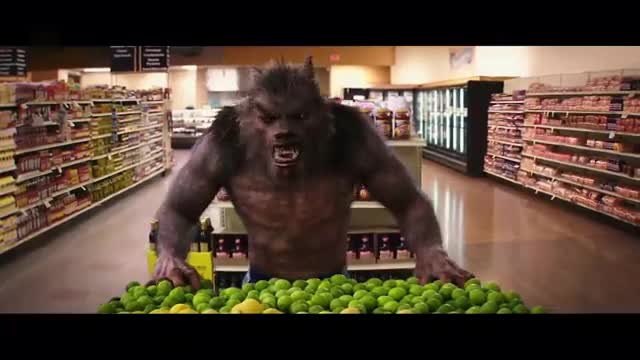 Integrate cgi realistic 3d animal animation, 3d animal model fur and ...