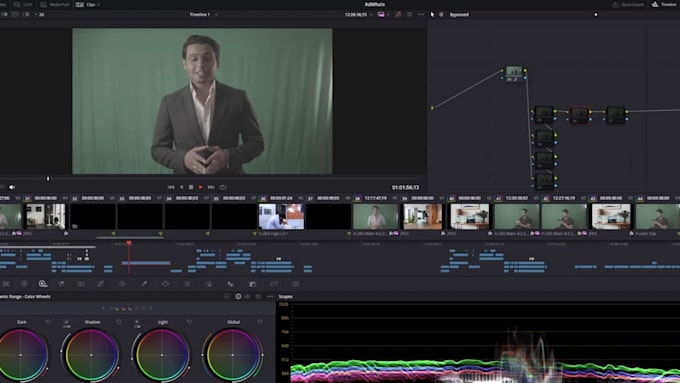 Provide editing with green screen vocal, enhancement and cinematic ...