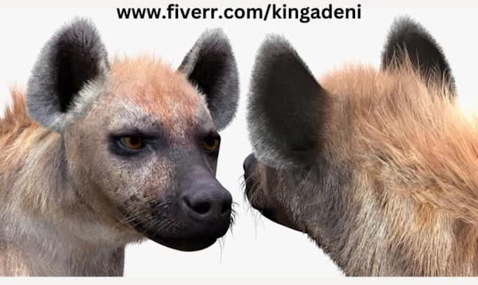 Create 3d animal model with blender, maya for game dev, film or 3d ...
