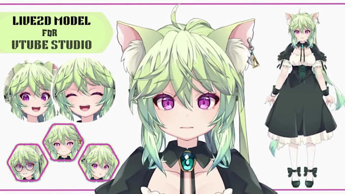 Draw 2d character for vtubers , live2d model , live2d rigging for vtube ...