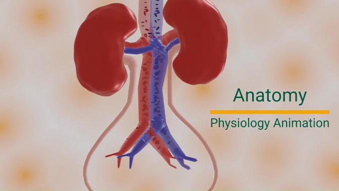 Create 3d educational science animation videos by Samia1102 | Fiverr