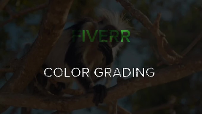 Do cinematic color grading and editing to elevate your video by Zaair ...