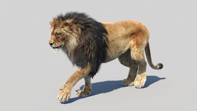 Do realistic 3d animal animation, cgi animal modelling, xgen fur vfx ...