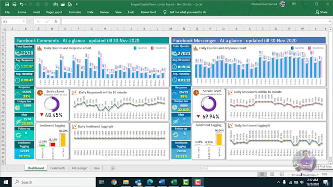 Do professional excel dashboard with graphical visualization by ...