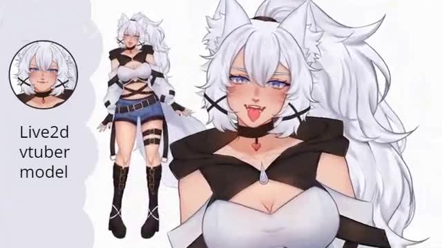 Draw and design 2d vtuber model, live2d vtuber rigging, vtuber design and rig